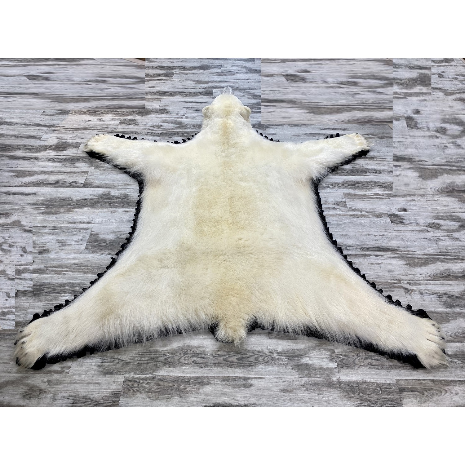 Tapis d'Ours polaire #29209 | BILODEAU Canada